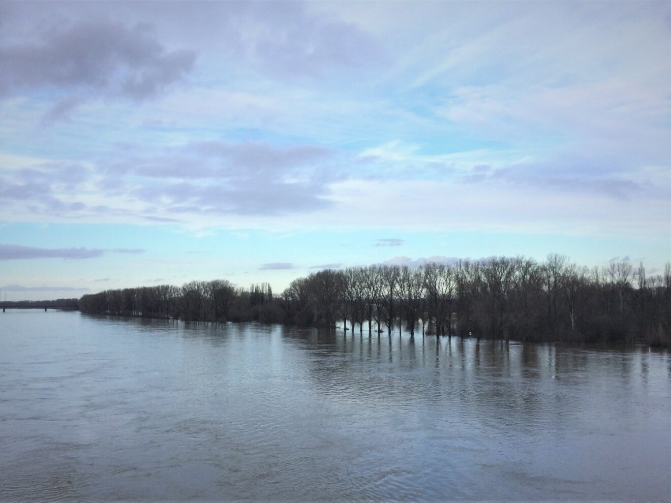 „Maere über Rîn: Der Rhein in den Erzählungen der Nibelungensage ...